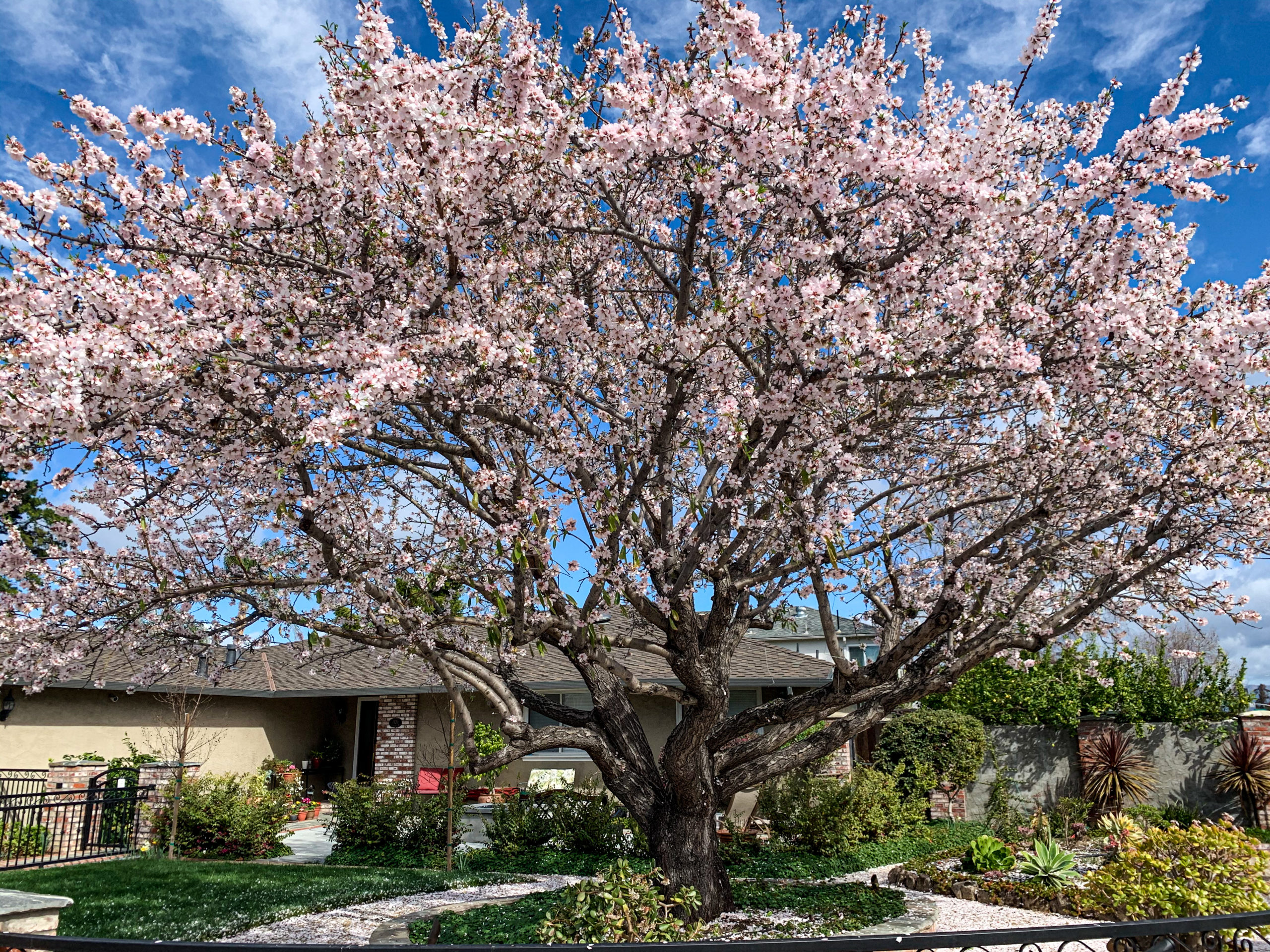 Birthday status update | Kohsuke Kawaguchi